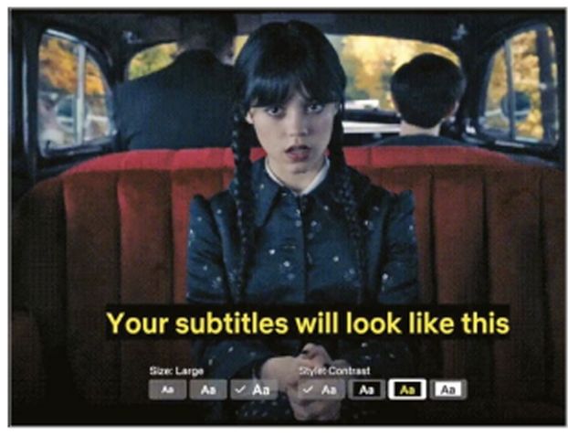 How To Make Subtitles Bigger In Netflix TOP NEW Review
